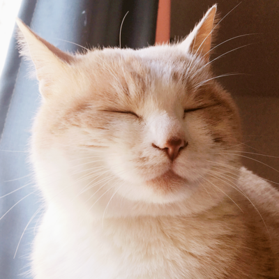 Wxw Moe е ње њ W књ